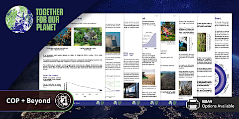 Climate Change Cloze Activity Sheet, climate change