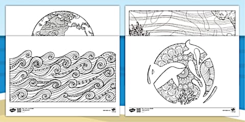 Turtle Colouring Pages