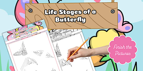 Draw the Elements of Art Activity Sheet