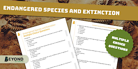 KS3 Human Reproduction Multiple Choice Question Bundle