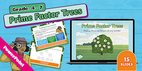 Prime Factors PowerPoint