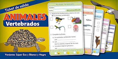 PowerPoint: Los Vertebrados