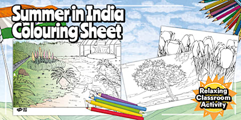 Colour, Cut and Stick: Design a Book Cover