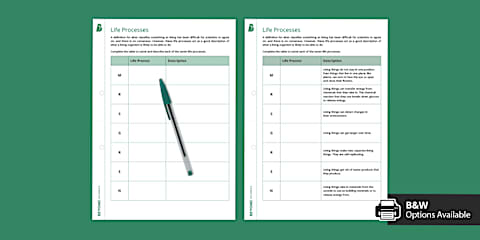 Mrs Nerg Characteristics of Living Things PowerPoint
