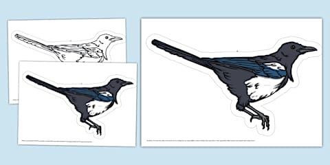 Magpie Words Display Poster