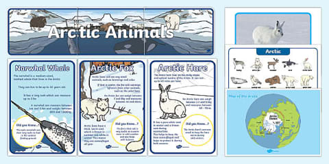Label the Arctic Animals Differentiated Worksheet for K-2nd Grade