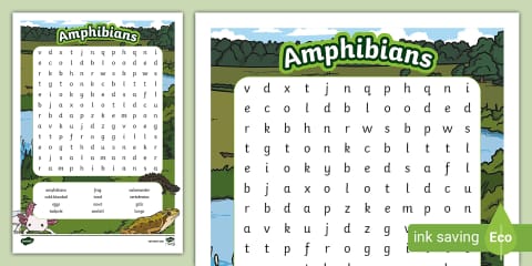 Australian Animals Years 3-6 Mammals Word Search