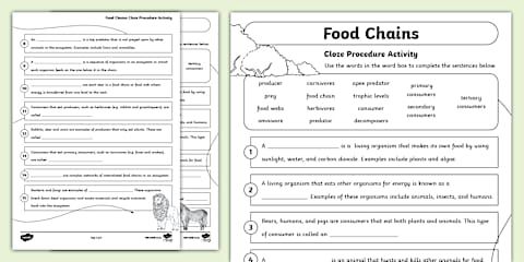 Food Chain Differentiated Reading Comprehension