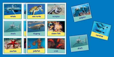 Ocean Animals Gross Motor Activity Cards