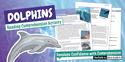 UKS2 Sharks Reading Comprehension Activity