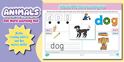 Year One Phonics Reading Assessment