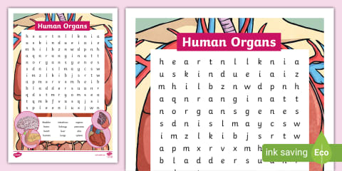 Organ Map | Diagram of Human Body Internal Organs Functions