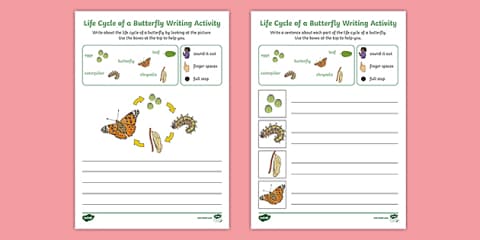 Butterfly Adjectives Worksheet