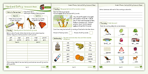 Grade 3: Hard and Soft g Word Search