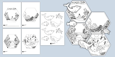 Sea Creatures Hexagon Display Colouring Activity