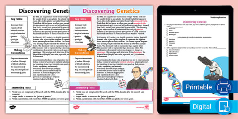 Genetics and Heredity Color by Number Challenge for 6th-8th Grade