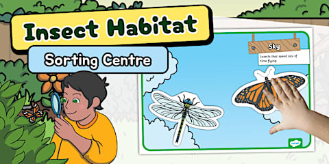 Insect Week Display Bunting