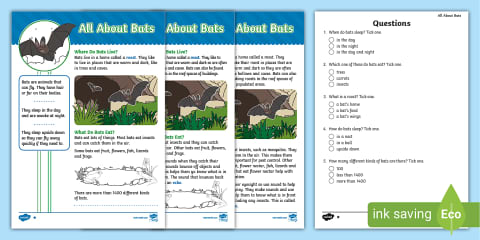 LKS2 All About Bats Reading Comprehension Activity