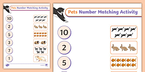 National Pet Month: Pets Counting 11-20 Worksheet