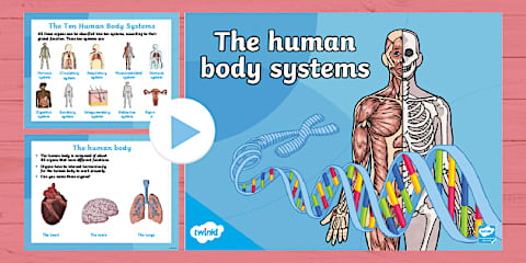 The Ten Human Body Systems Labelling Activity