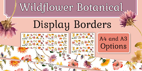 Wild Sketchbook Year 1 and 2 Common Exception Words Display Poster