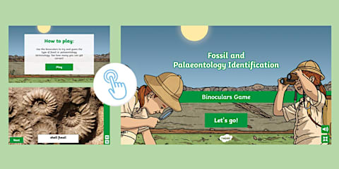 Fossils Interactive Matching Game