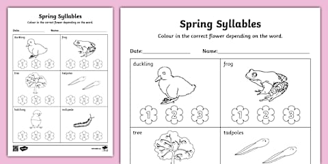 Spring Syllables Word and Matching Worksheet
