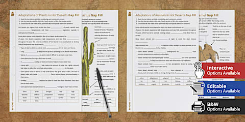 AQA Characteristics of Hot Deserts Reading Comprehension