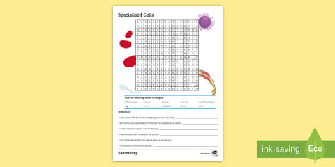Microscopes: Word Search
