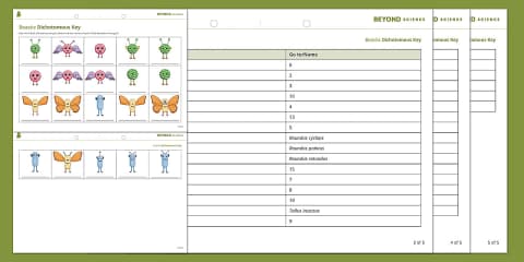 Design Your Own Dichotomous Key Worksheet | Twinkl