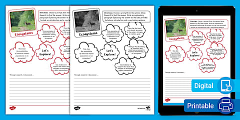 Seventh Grade Competition in Ecosystems Worksheet