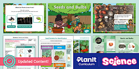 Seeds and Bulbs Sorting Cards