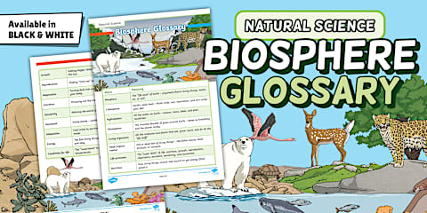 Grade 7 - NS - Ecosystems Worksheet (CAPS Aligned)