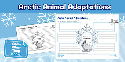 Polar Regions Animal Adaptations Activity Sheet