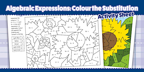 An Introduction to Evaluating Algebraic Expressions PowerPoint