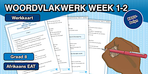 Senior Fase - Afrikaans - Ontwerp Jou Eie Strooibiljet - Werkkaart ...