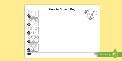 How to Draw Native Australian Animals