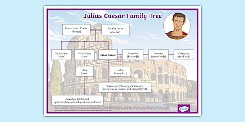Julius Caesar Differentiated Reading Comprehension Activity