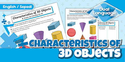 Name the Shapes of 3D Objects Activity Sheet