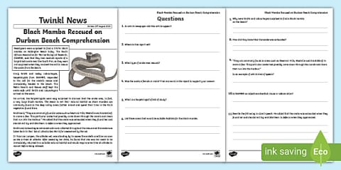 Matilda: Reading Comprehension [Ages 7-9]