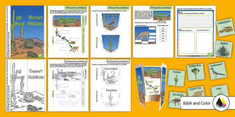 Desert Habitat Word Cards