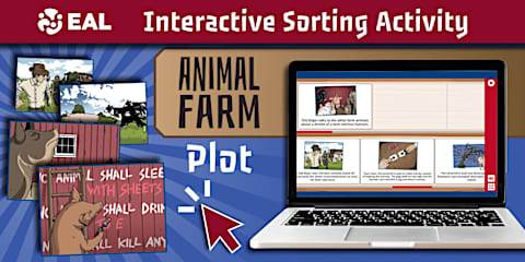 SEND Older Learners Life Skills: Decision-Making When Grocery Shopping ...