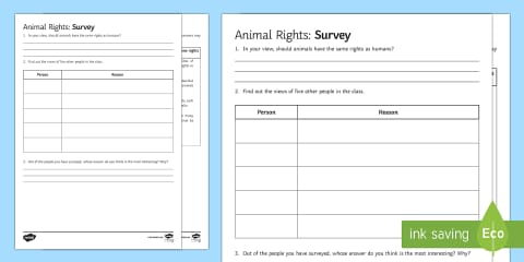 Animal Welfare Matching Activity