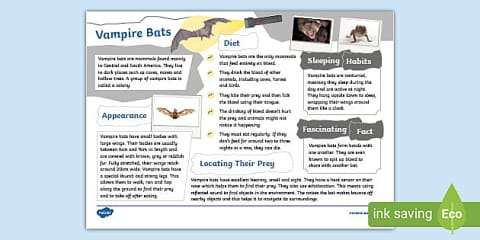 LKS2 All About Bats Reading Comprehension Activity
