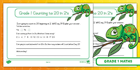 Grade 1 Maths: Number Patterns: 2's to 100