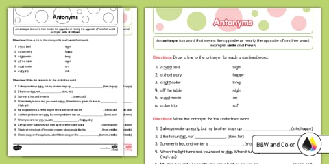 Spring Antonyms Activity
