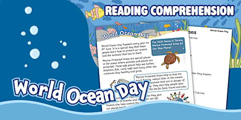 KS1 World Ocean Day Reading Comprehension Activity