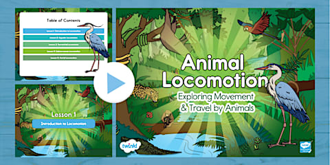 How Animals Move Fill In the Blank Activity for K-2nd Grade