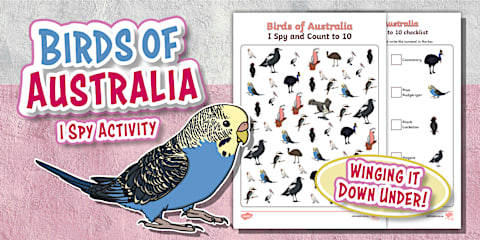 Life Stages of a Ladybird Diorama Labelling Craft Activity