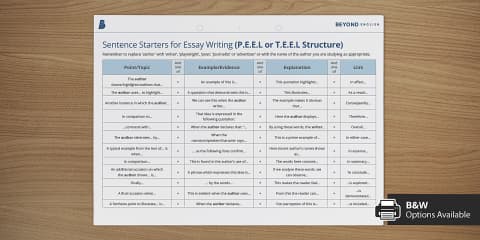 PEEEL/TEEEL Paragraph Structure Poster - Beyond English